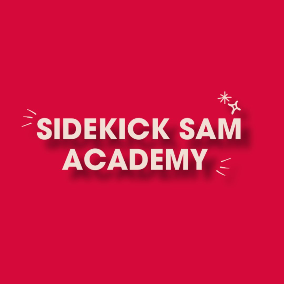 Artikels | Sidekick Sam Academy
